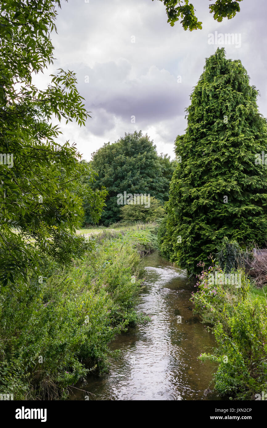 Brook with some big trees on the sides and reflection during cloudy day ...