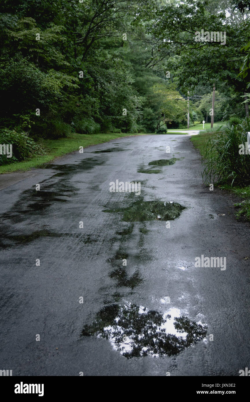 Puddle reflection in road hi-res stock photography and images - Alamy