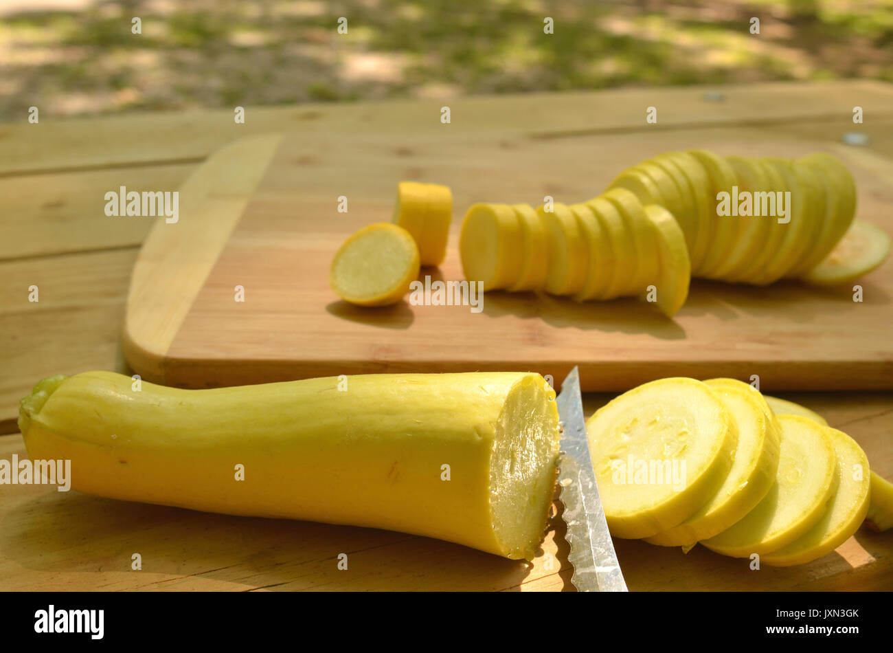 sliced yellow squash on outdoor picnic table under shade tree --squash ...