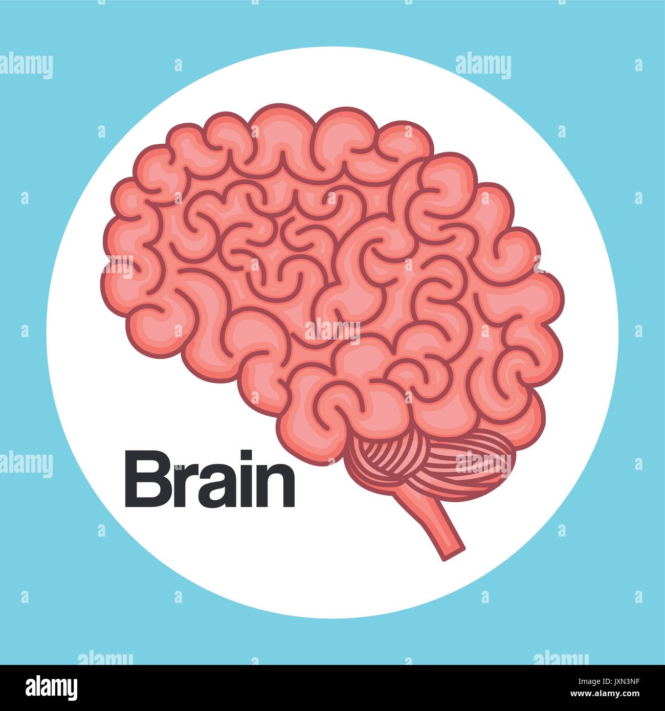 brain think idea creative innovation Stock Vector Image & Art - Alamy