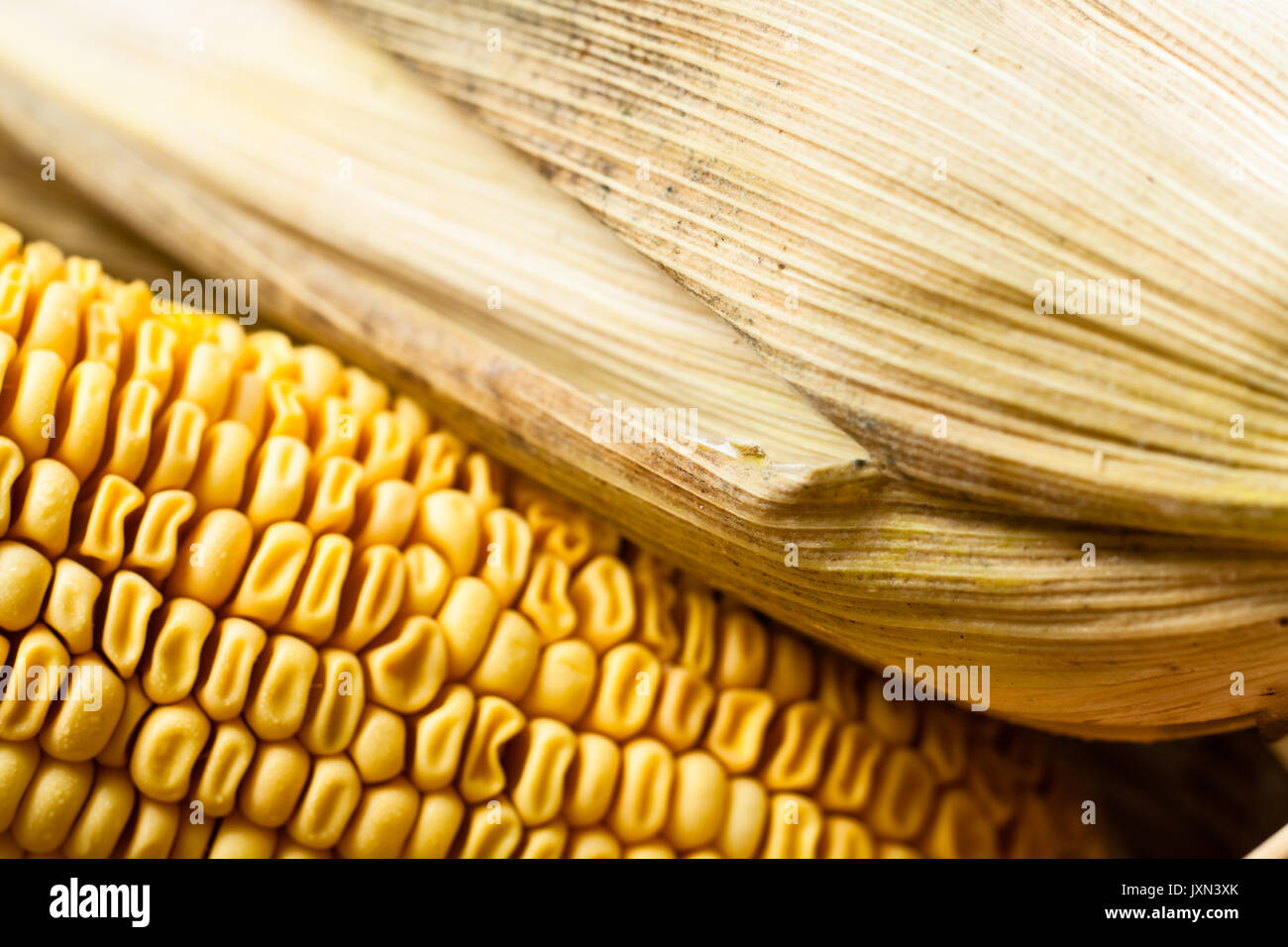 dry corn in the basket Stock Photo - Alamy