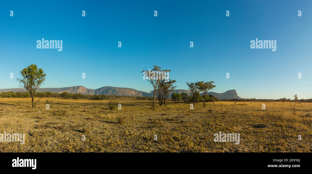 African bush sun hi-res stock photography and images - Alamy
