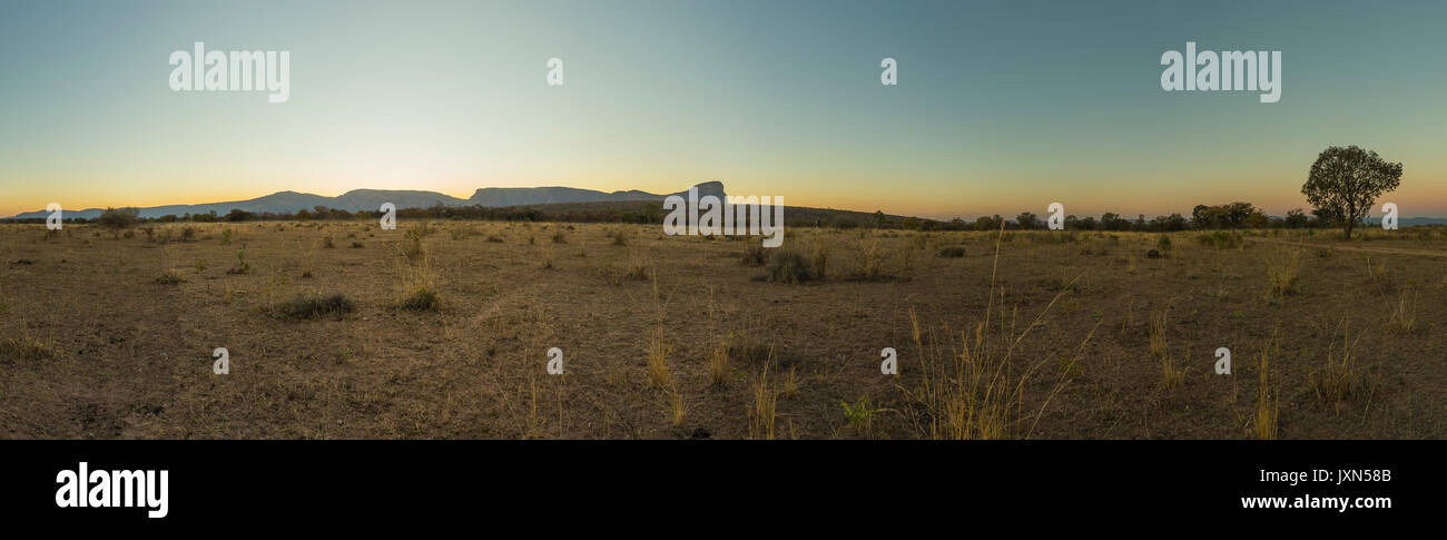 African bush landscape in the early morning Stock Photo - Alamy