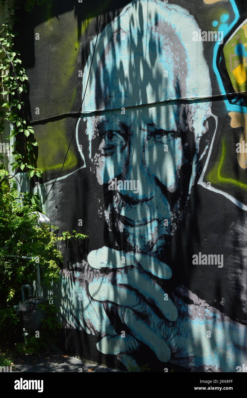 A look of determination Stock Photo - Alamy