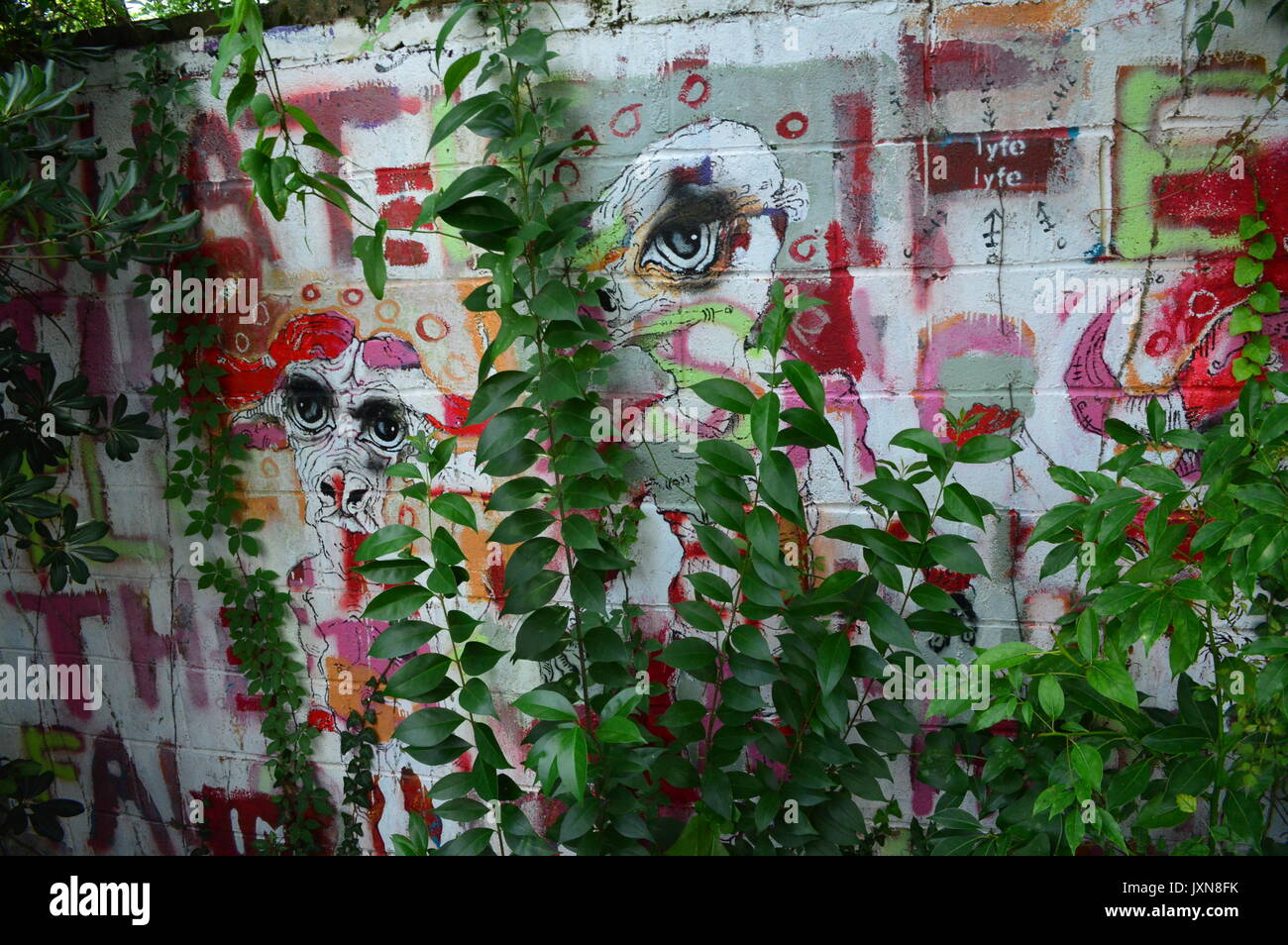 viewing out from behind the greenery of life Stock Photo - Alamy