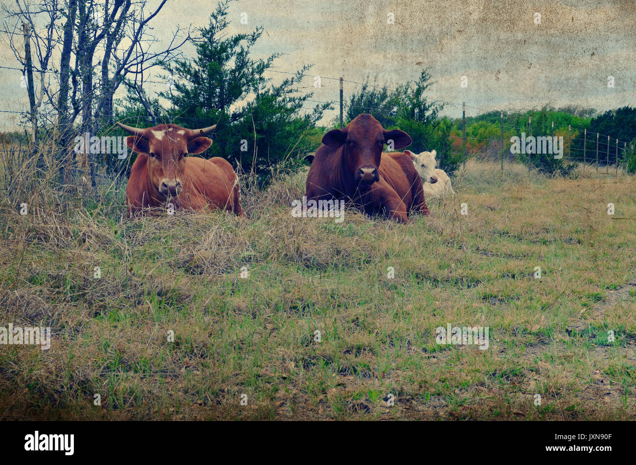 Rural lifestyle hi-res stock photography and images - Alamy