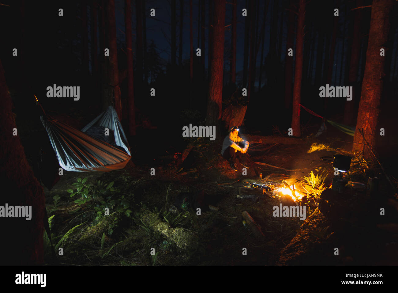 Moody campfire and hammocks in woods of British Columbia Stock Photo ...
