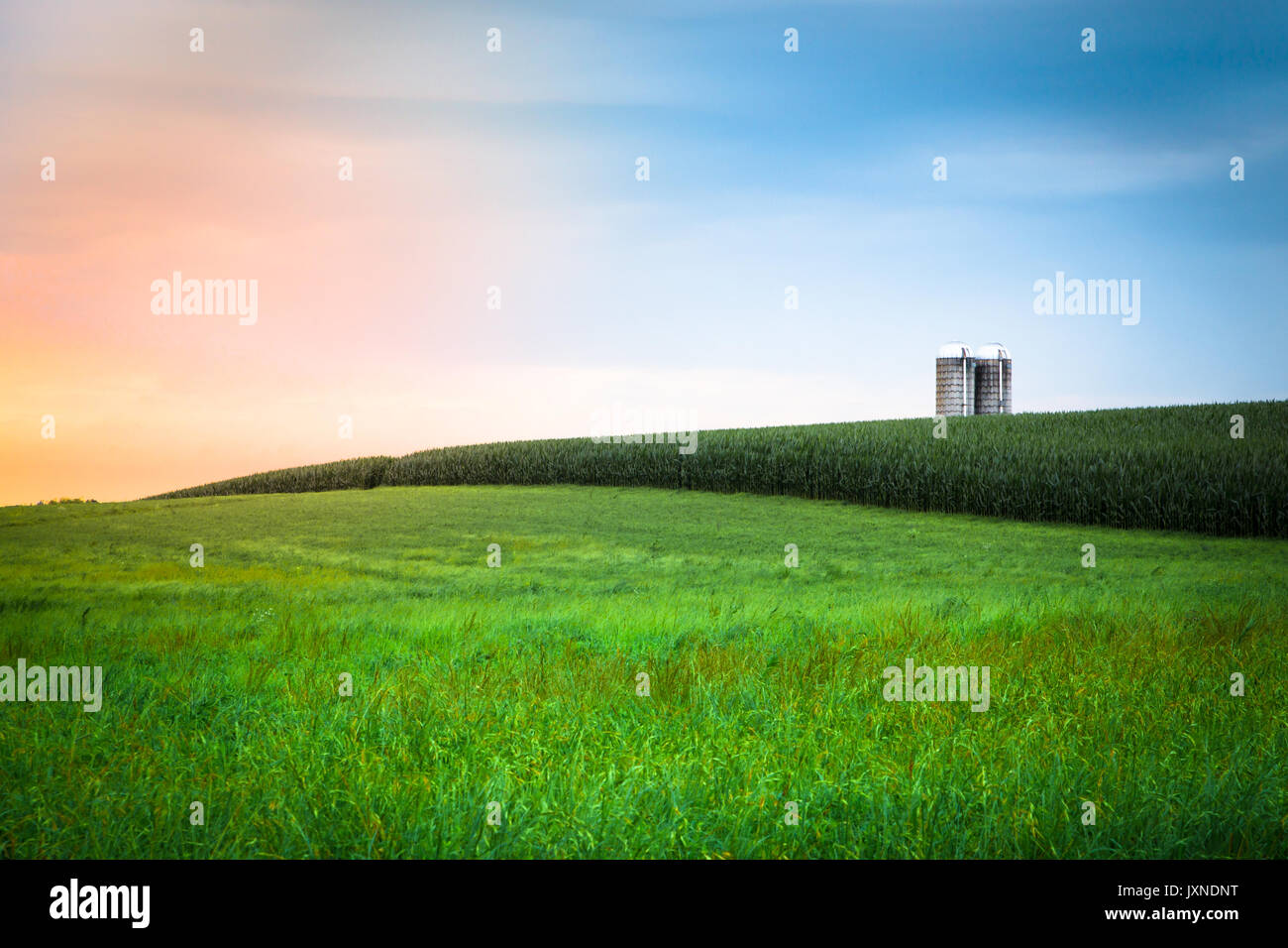 Beautiful farm field with grass, silo and corn at sunset, Amish Country ...
