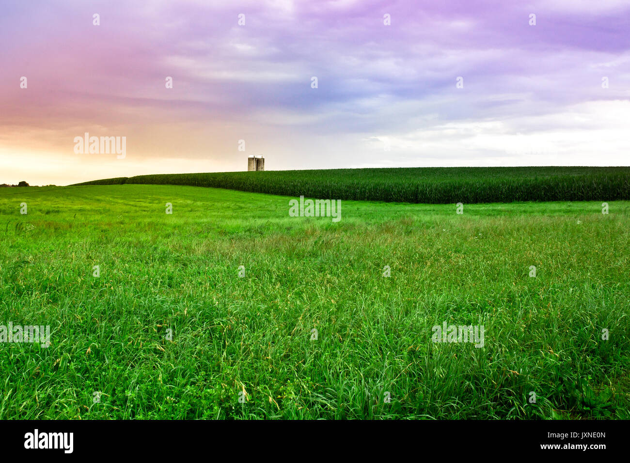 Beautiful farm field with grass, silo and corn at sunset, Amish Country ...