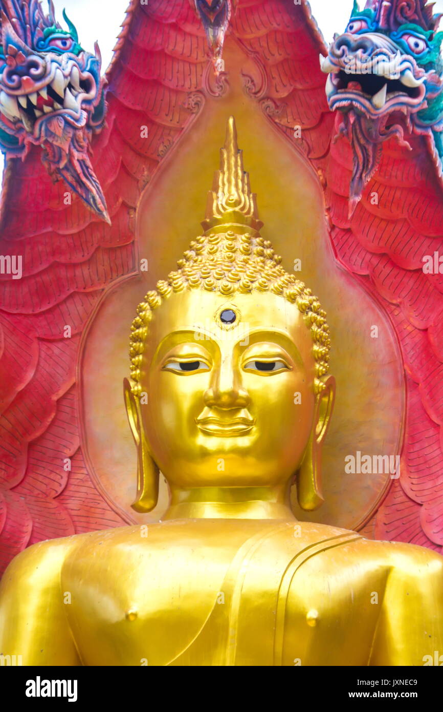 Naga snakes hi-res stock photography and images - Alamy