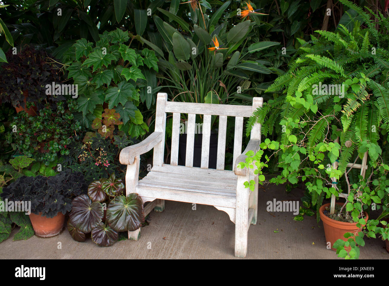 Bench with Scenery Stock Photo - Alamy