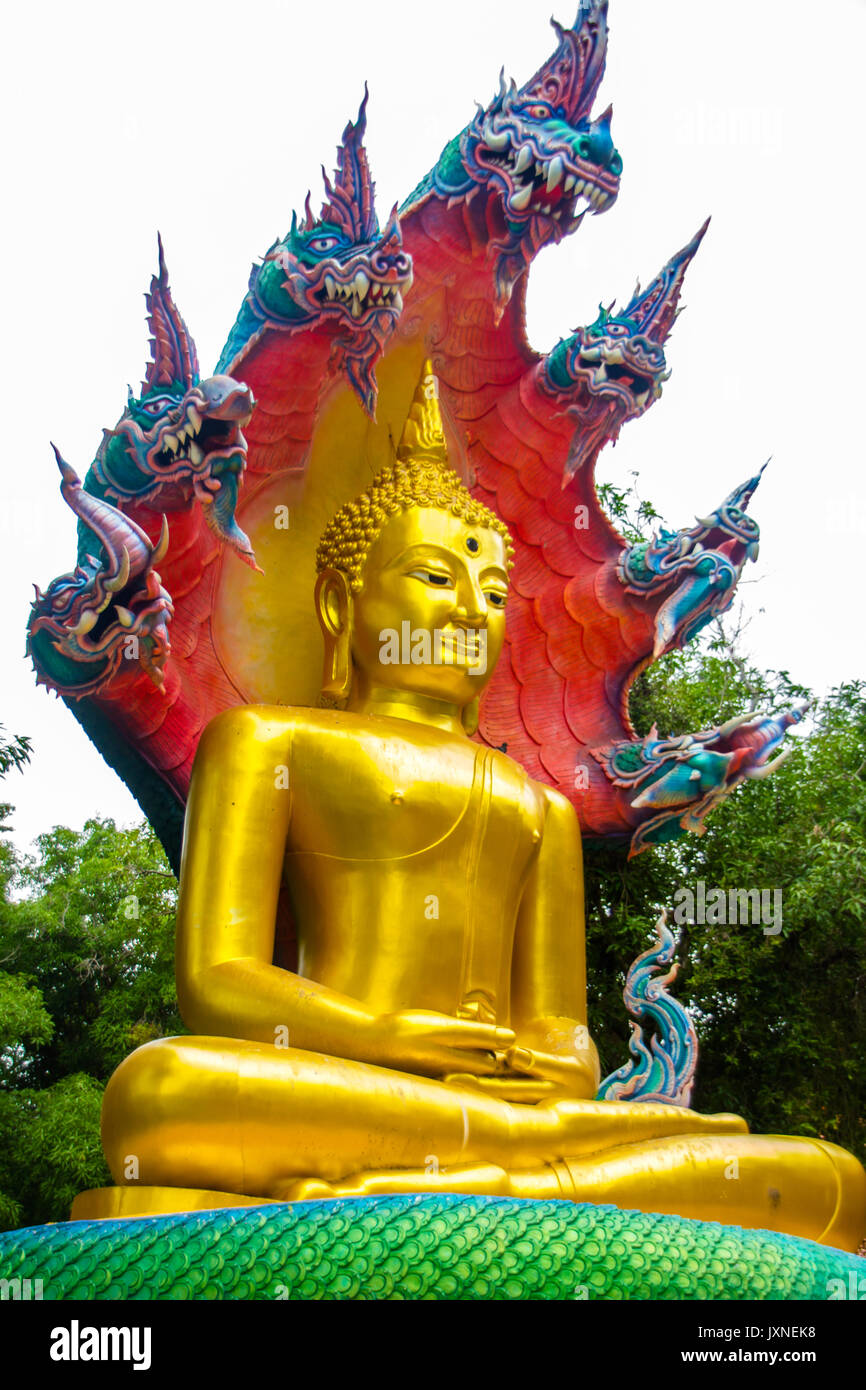Naga snakes hi-res stock photography and images - Alamy