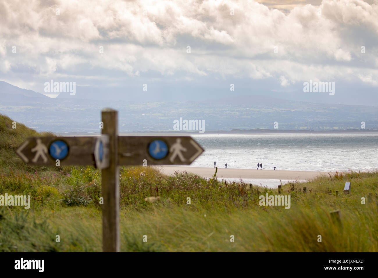 Wooden direction post way marker showing direction for Wales Coastal ...