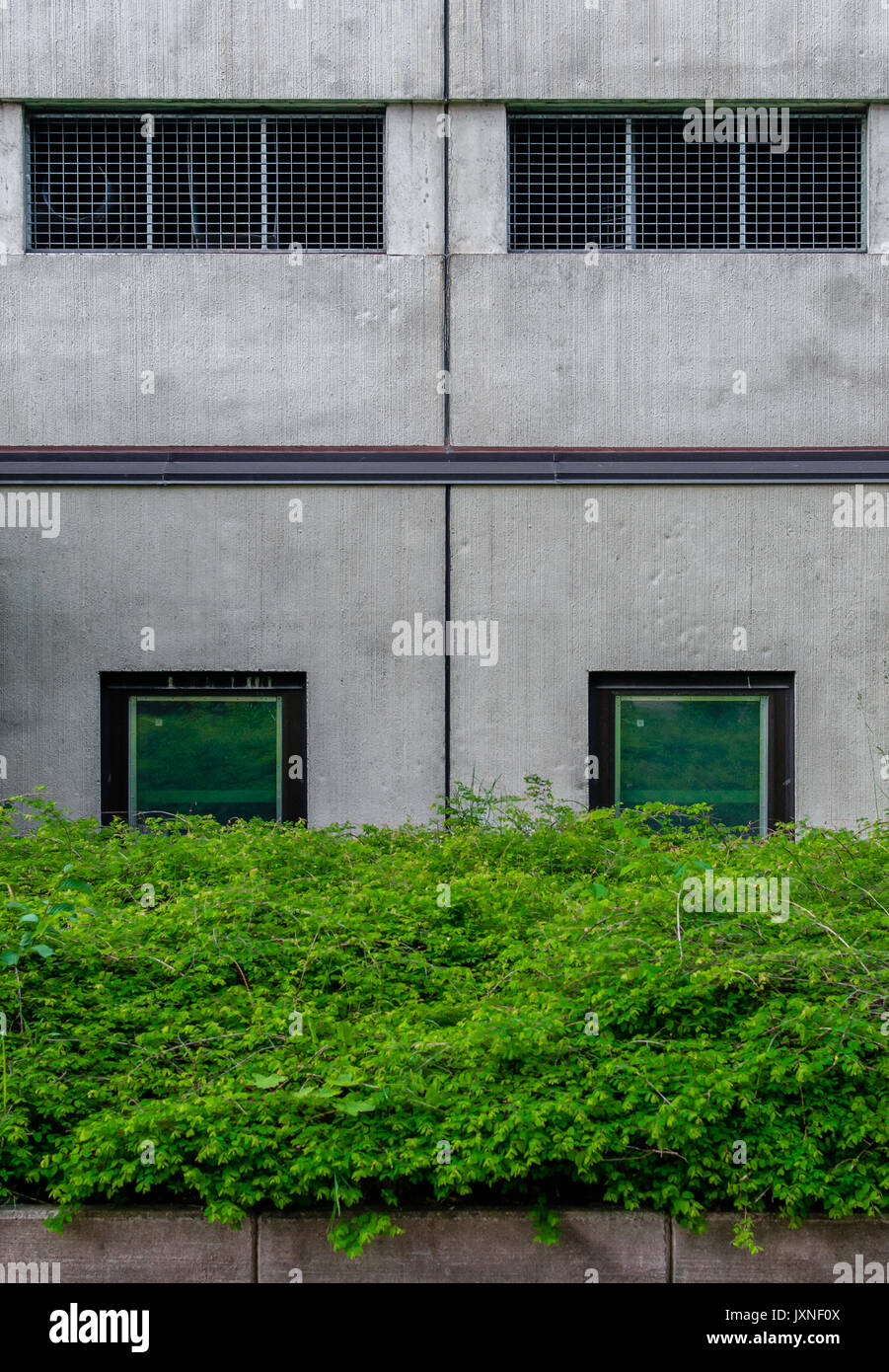 Concrete wall and bushes Stock Photo - Alamy