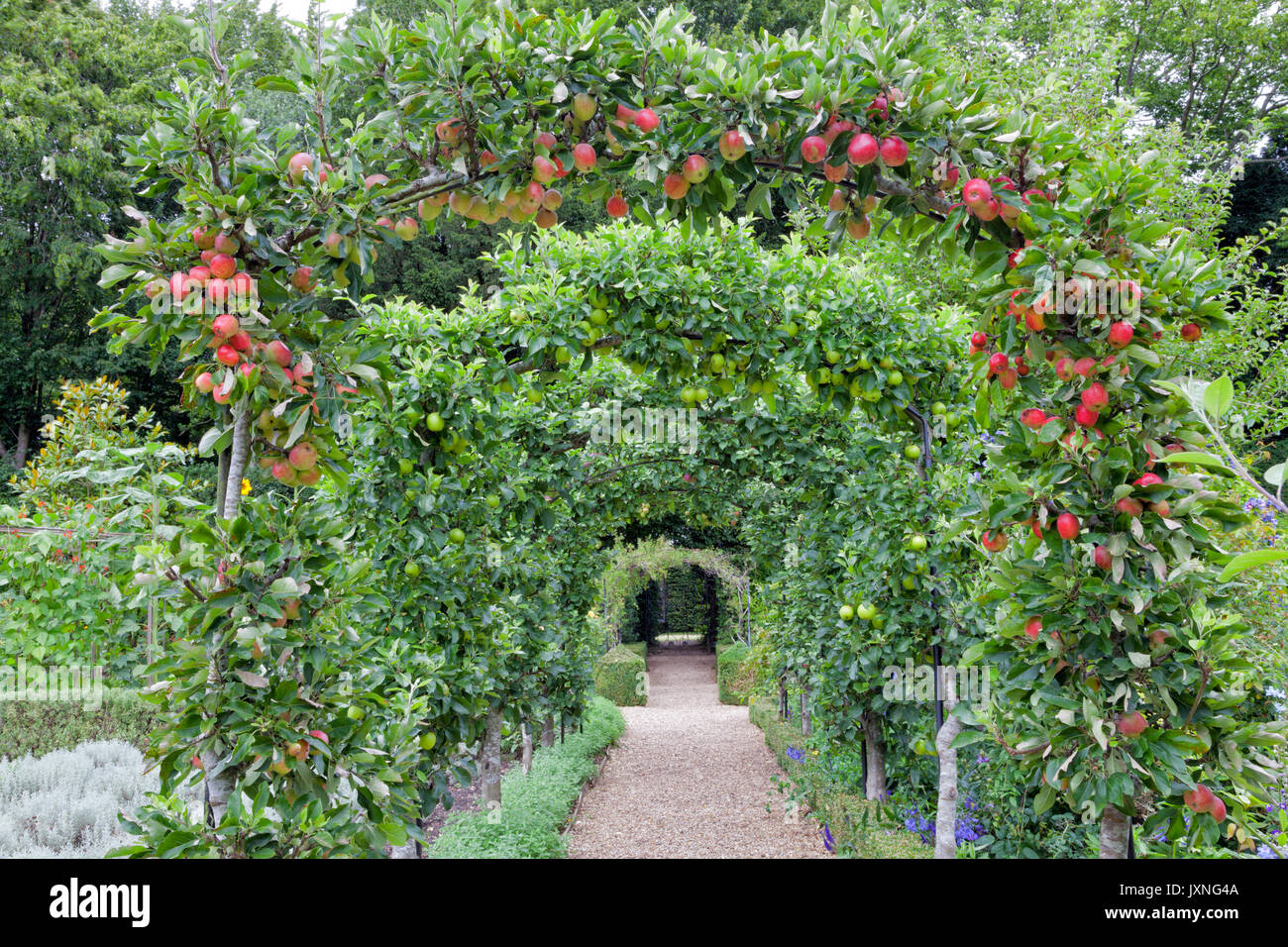 Garden gate arch hi-res stock photography and images - Alamy