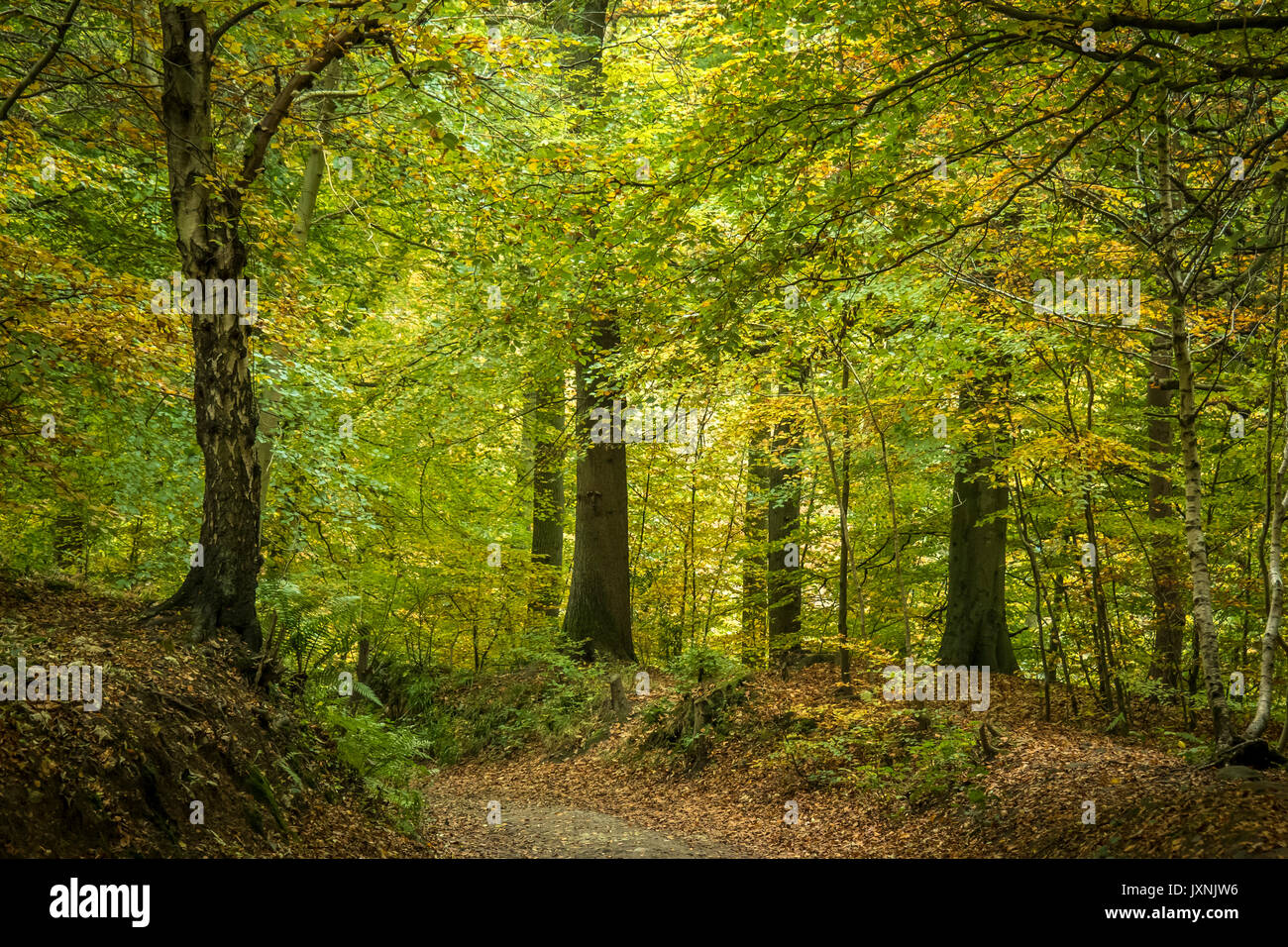 Littlebeck hi-res stock photography and images - Alamy