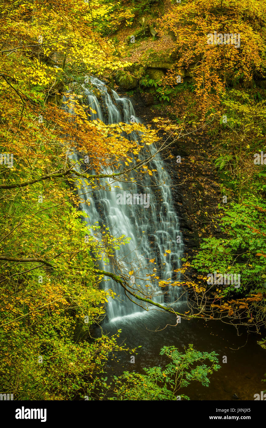 Littlebeck hi-res stock photography and images - Alamy