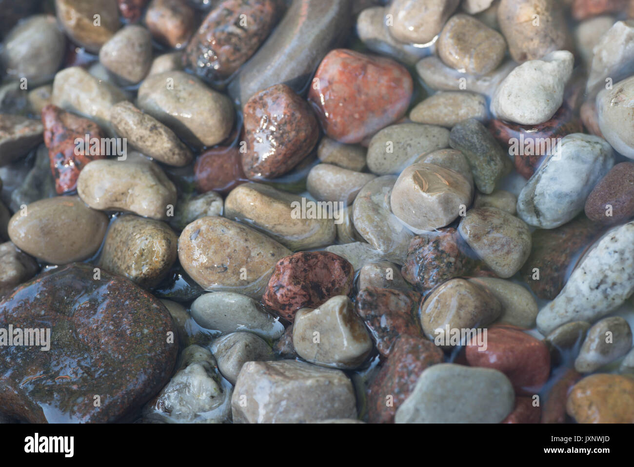 Pebble shore hi-res stock photography and images - Alamy