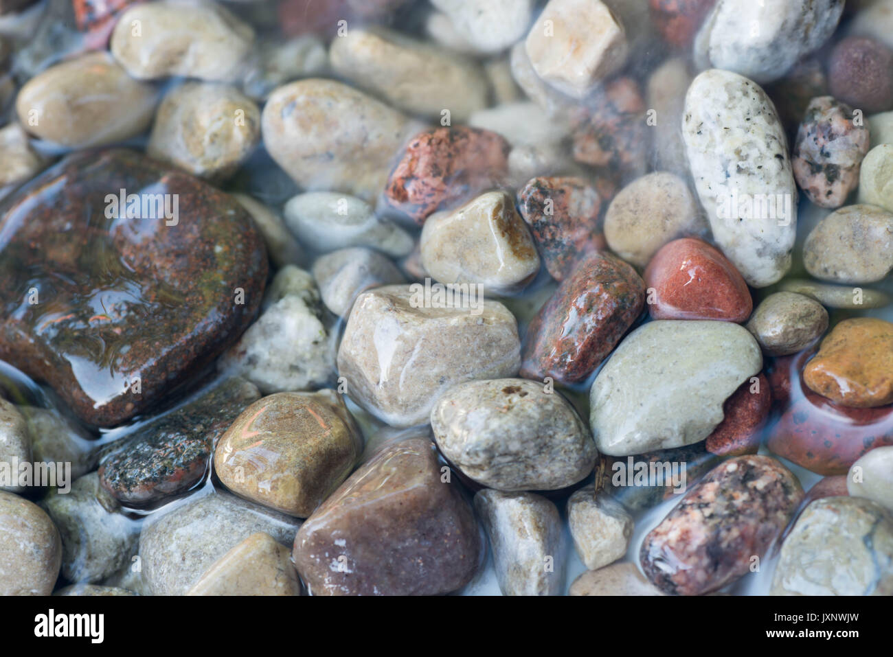 small pebble stones in water background Stock Photo - Alamy