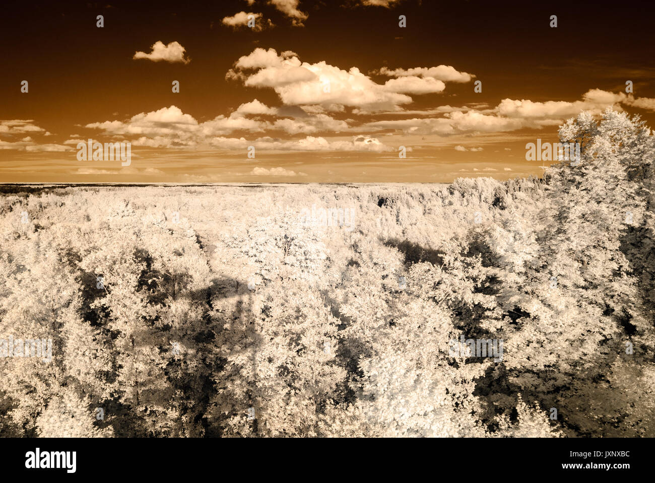 countryside fields and forests in summer. infrared image Stock Photo ...