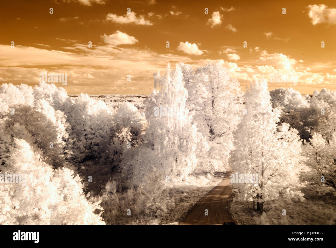 countryside fields and forests in summer. infrared image Stock Photo ...