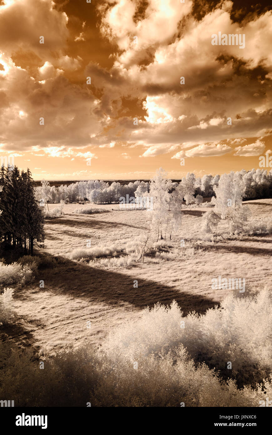 countryside fields and forests in summer. infrared image Stock Photo ...