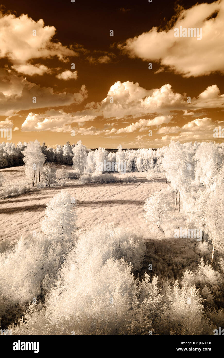 countryside fields and forests in summer. infrared image Stock Photo ...