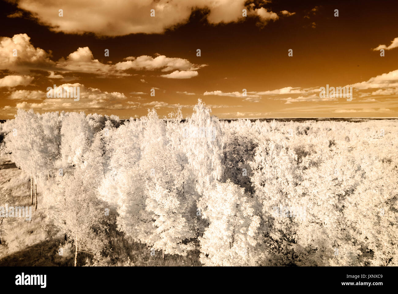 countryside fields and forests in summer. infrared image Stock Photo ...