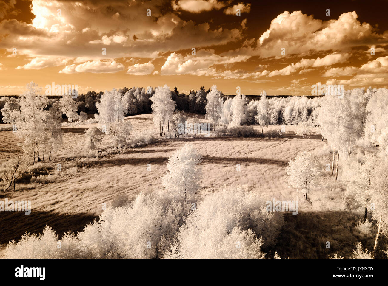 countryside fields and forests in summer. infrared image Stock Photo ...