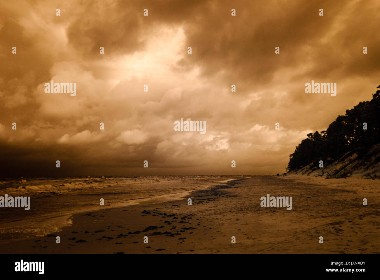 sea beach with dramatic clouds in summer. infrared image Stock Photo ...