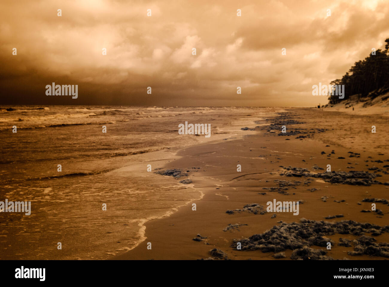sea beach with dramatic clouds in summer. infrared image Stock Photo ...
