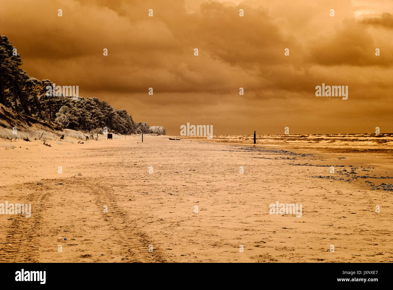 sea beach with dramatic clouds in summer. infrared image Stock Photo ...