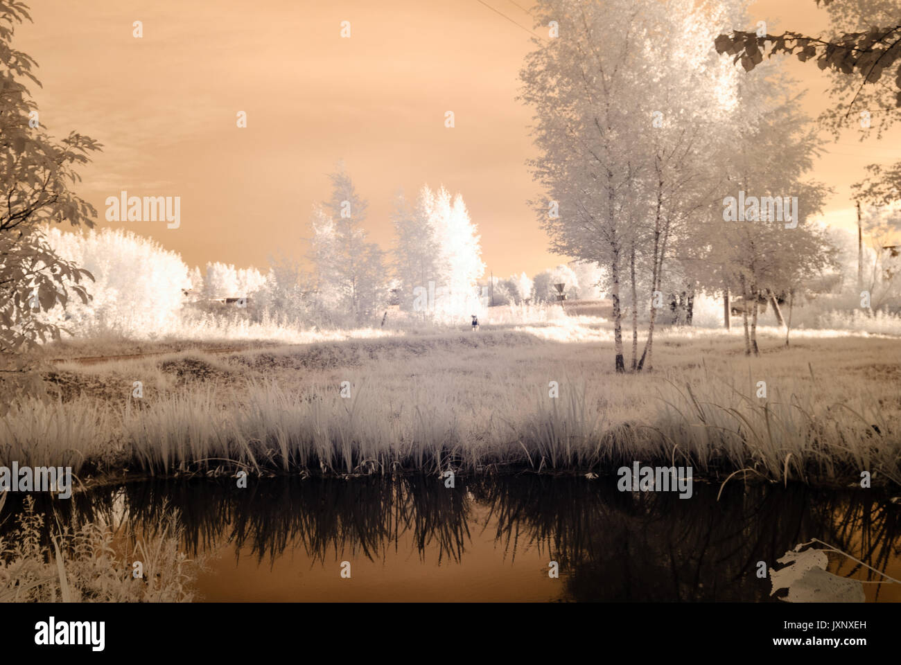 sea beach with dramatic clouds in summer. infrared image Stock Photo ...