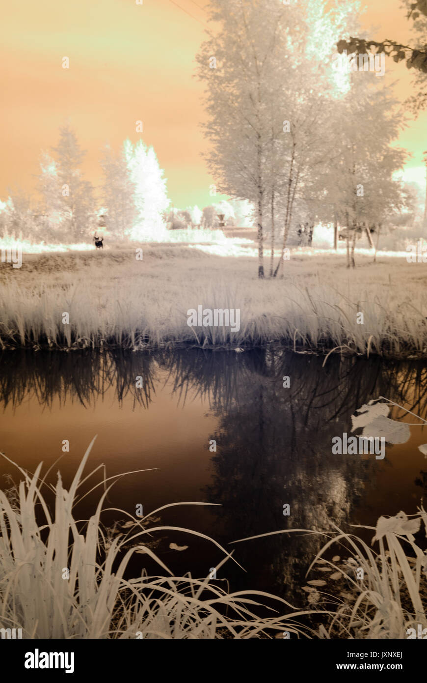 sea beach with dramatic clouds in summer. infrared image Stock Photo ...