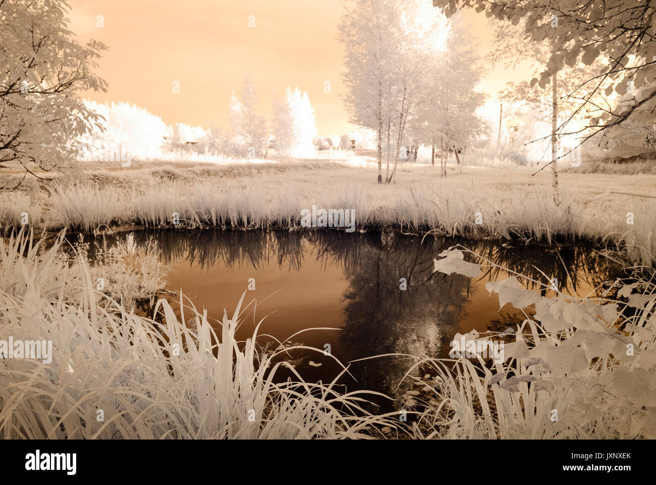 countryside fields and forests in summer. infrared image Stock Photo ...