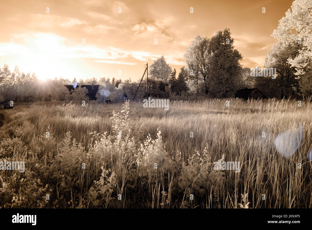 countryside fields and forests in summer. infrared image Stock Photo ...