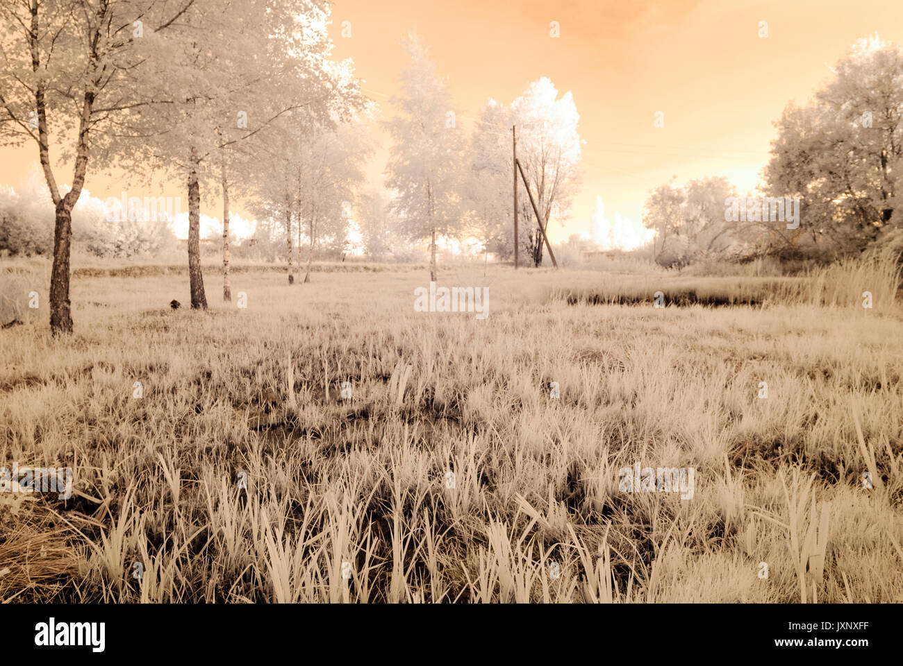 countryside fields and forests in summer. infrared image Stock Photo ...