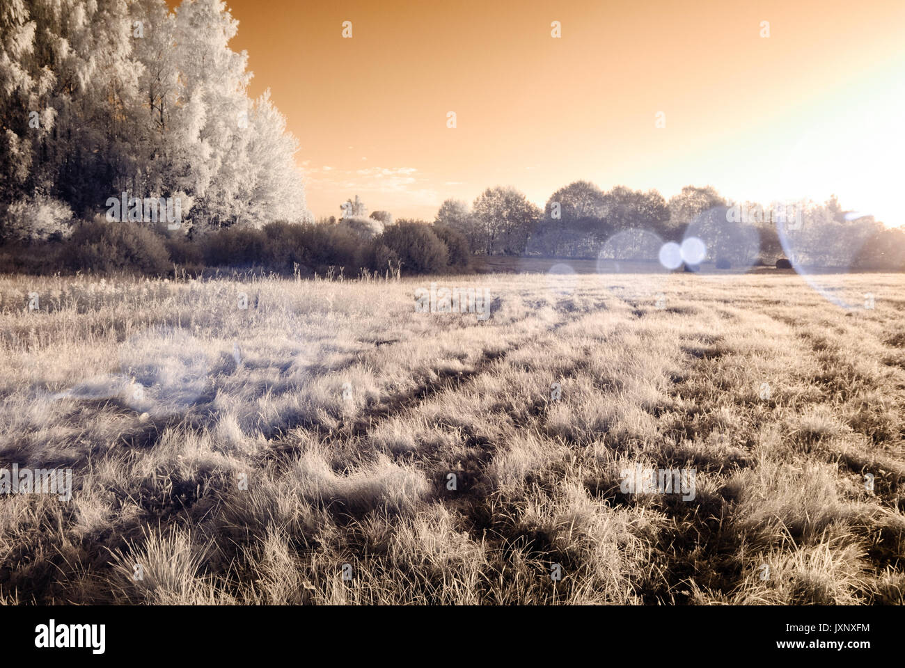countryside fields and forests in summer. infrared image Stock Photo ...