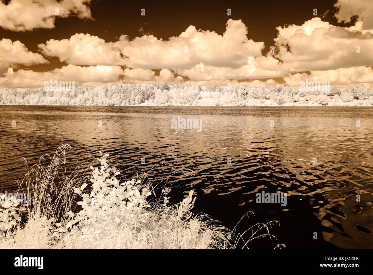 sea beach with dramatic clouds in summer. infrared image Stock Photo ...