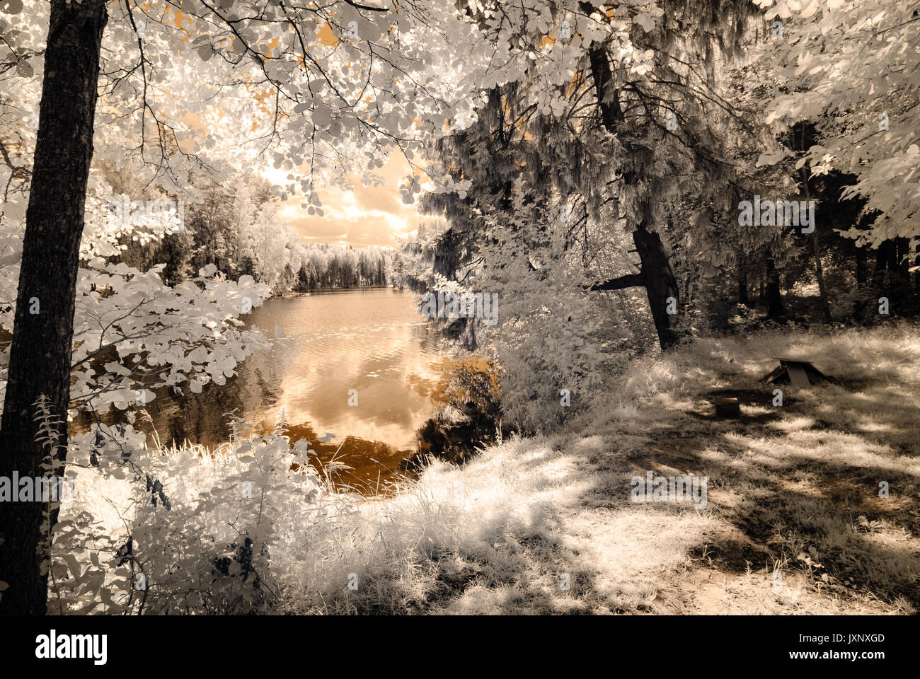 countryside fields and forests in summer. infrared image Stock Photo ...