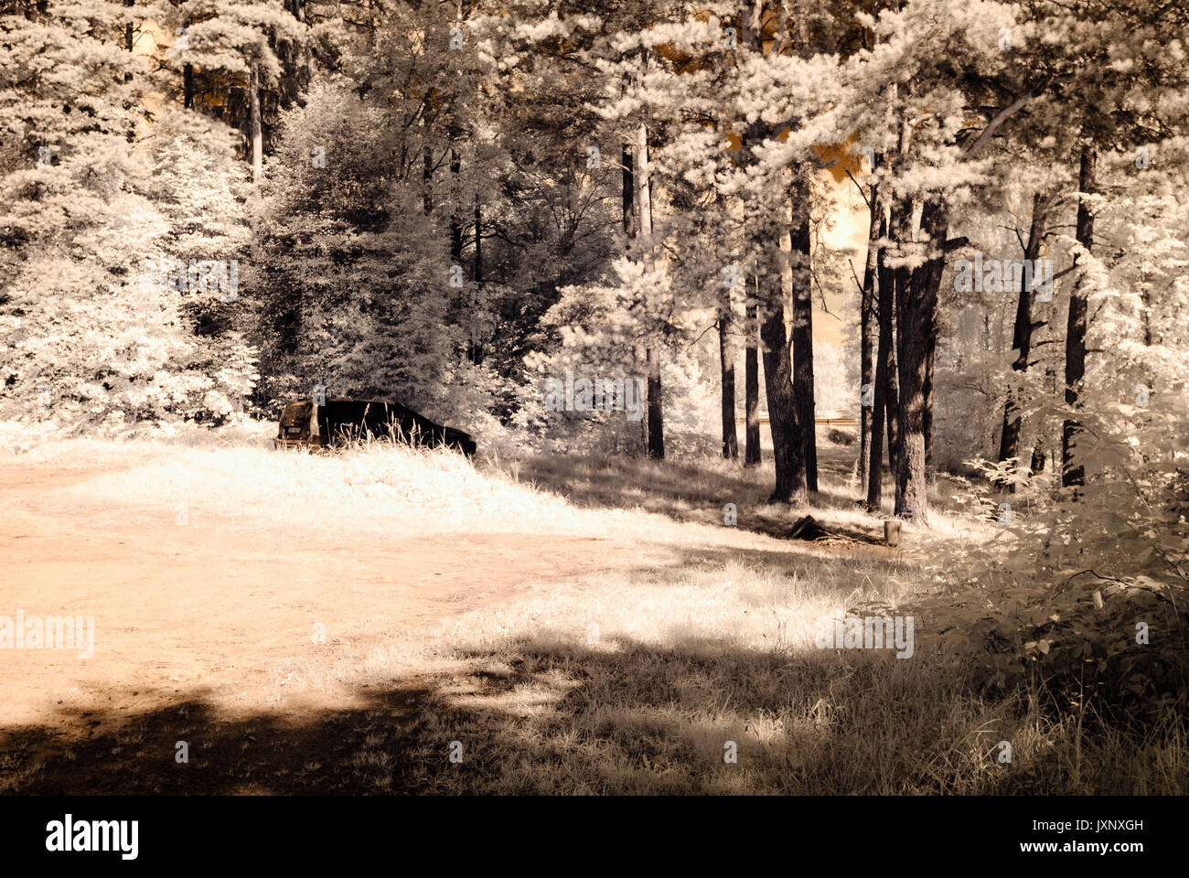 countryside fields and forests in summer. infrared image Stock Photo ...