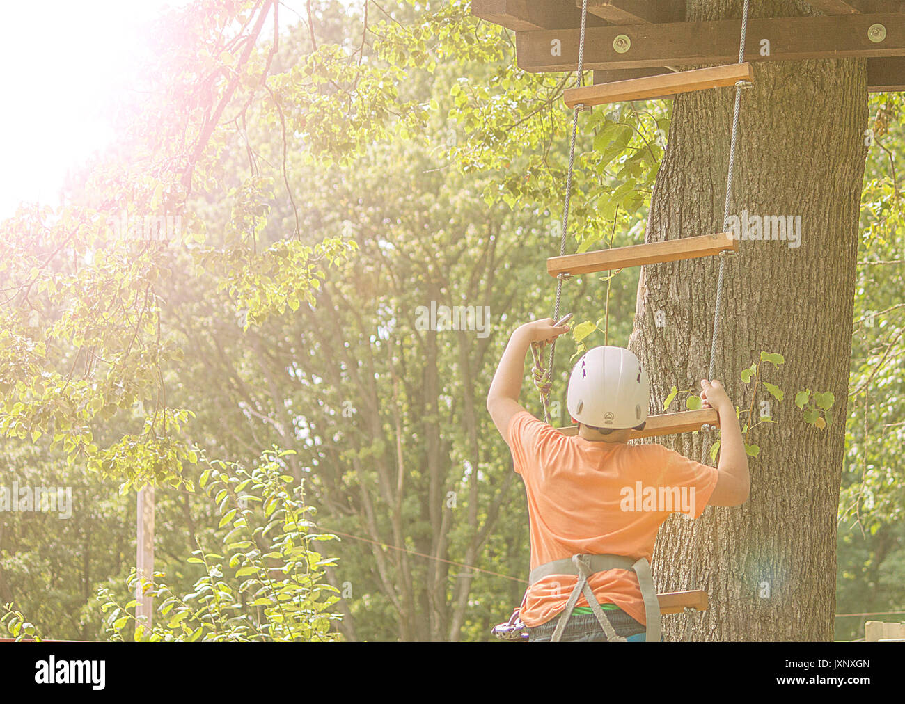 Boy climb tree hi-res stock photography and images - Alamy