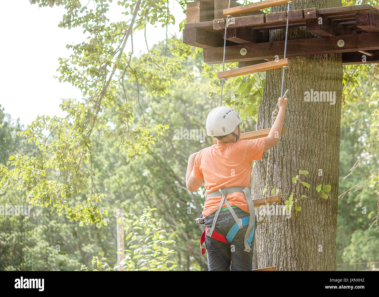 Boy climbs a tree Stock Photo - Alamy