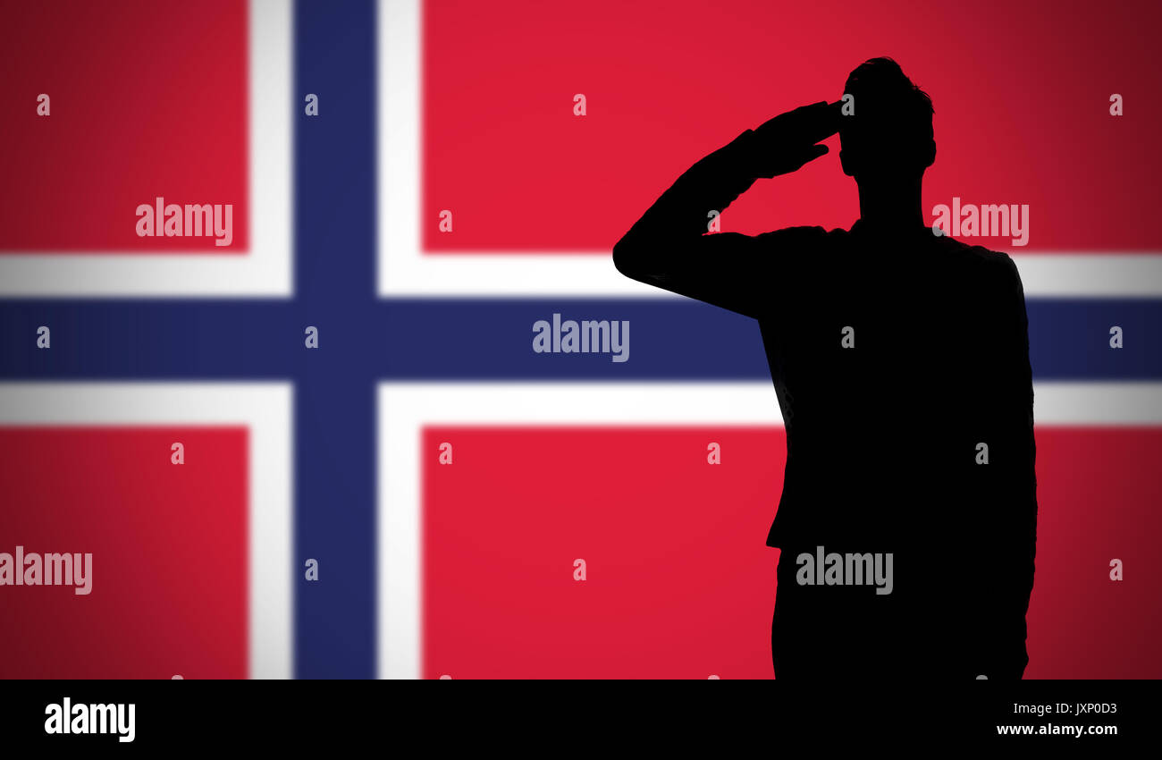 Silhouette of a soldier saluting against the norway flag Stock Photo ...