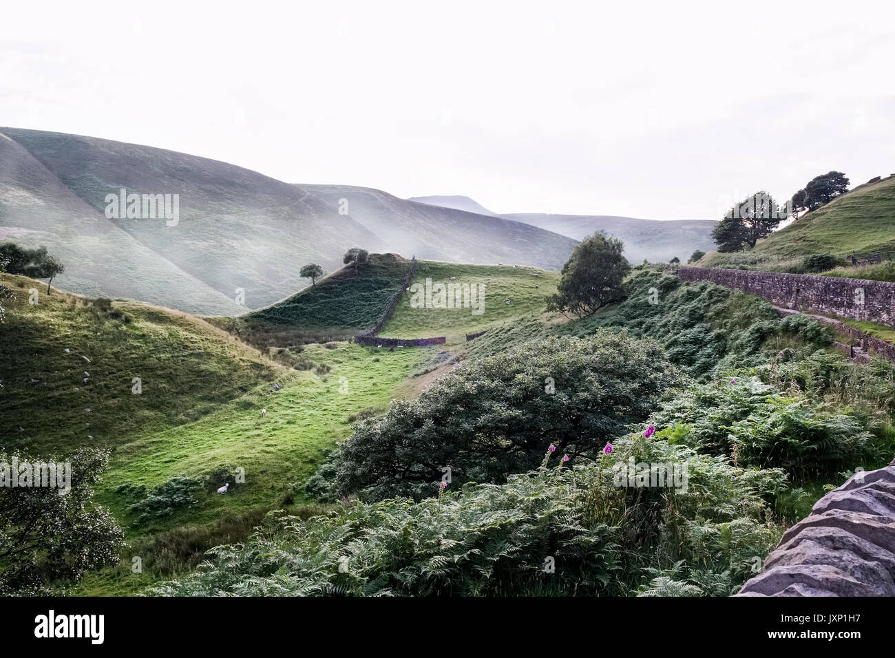 Misty hills in the Peak District, UK Stock Photo - Alamy