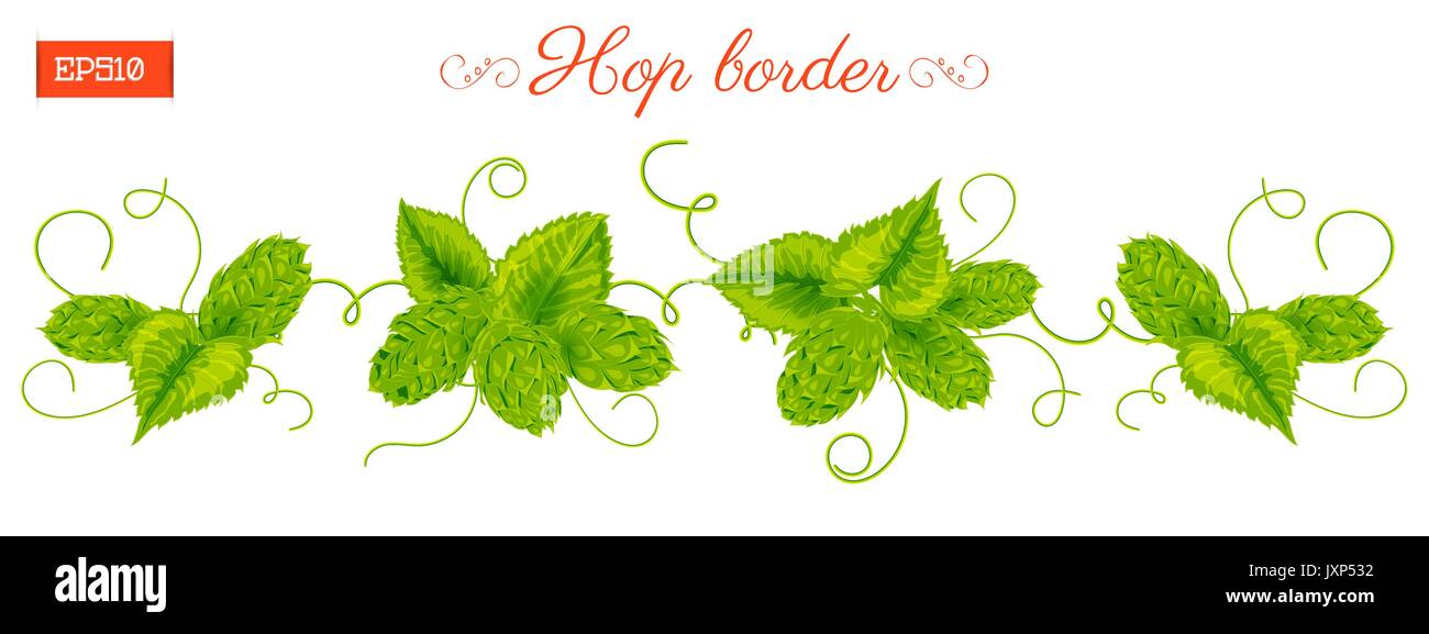 Hops Border Vector