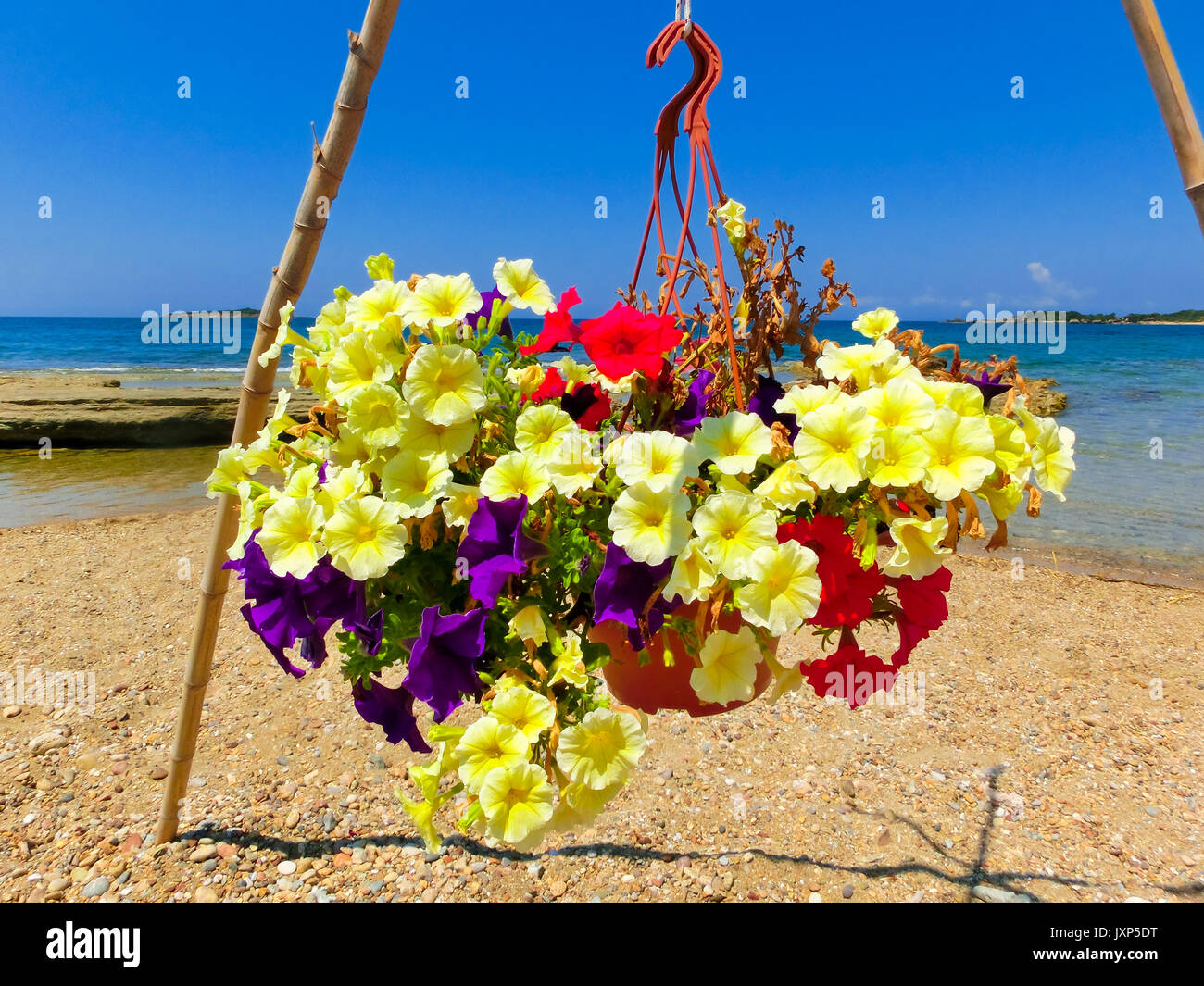 Beach scene collage hi-res stock photography and images - Alamy