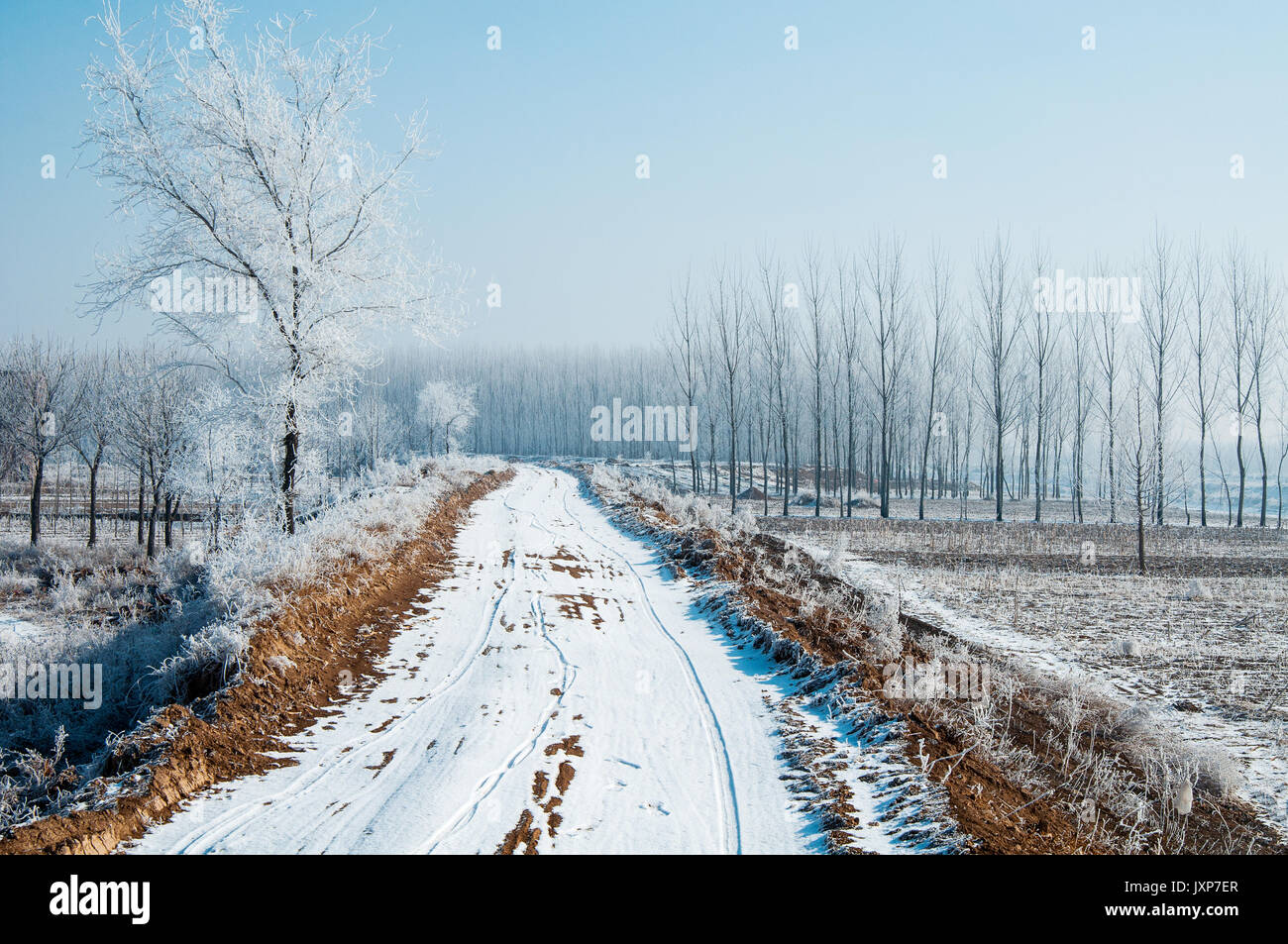 Country road snow Stock Photo - Alamy