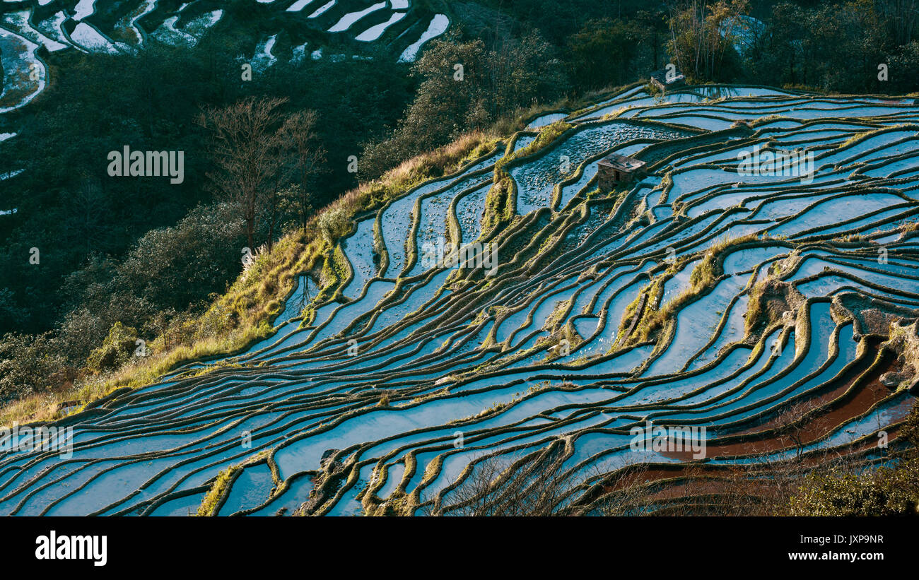 Yuanyang terrace in Yunnan Province,China Stock Photo - Alamy
