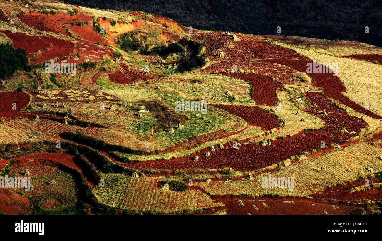 Agriculture field red clay soil hi-res stock photography and images - Alamy